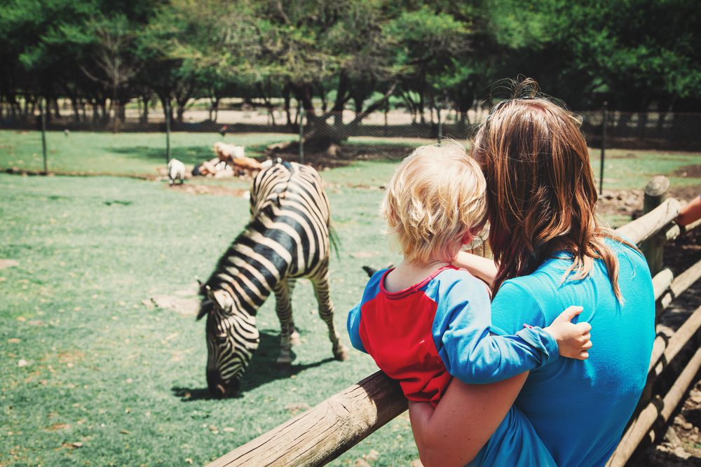 The Benefits of Zoos for Conservation and Education - Center for the ...